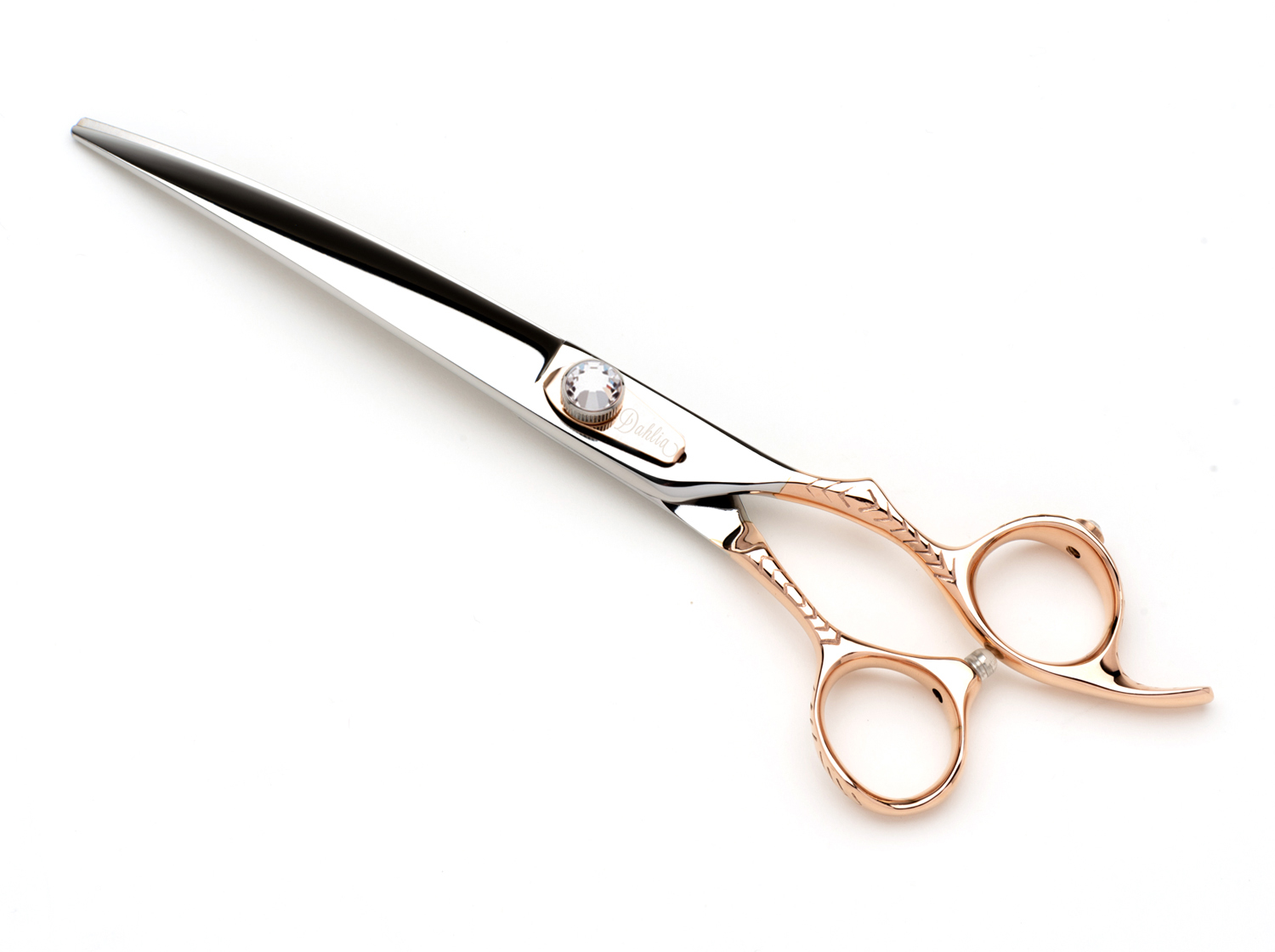 Dynasty Dahlia Curve - Razor Sharp